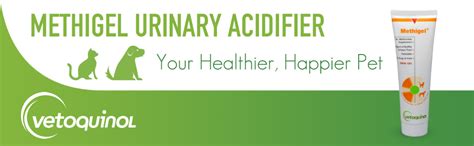 Methigel Urinary Acidifier 425 Oz Tube Amazonca Pet Supplies