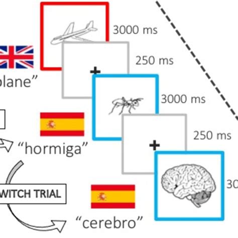 Graphical Representation Of The Dual Pathways Model Proposed By