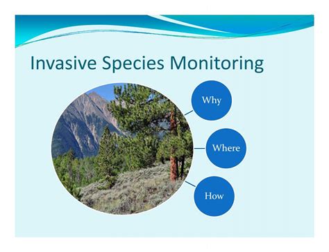 Invasive Species Monitoring