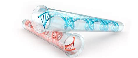Dnarna Nucleic Acid Extraction Analis