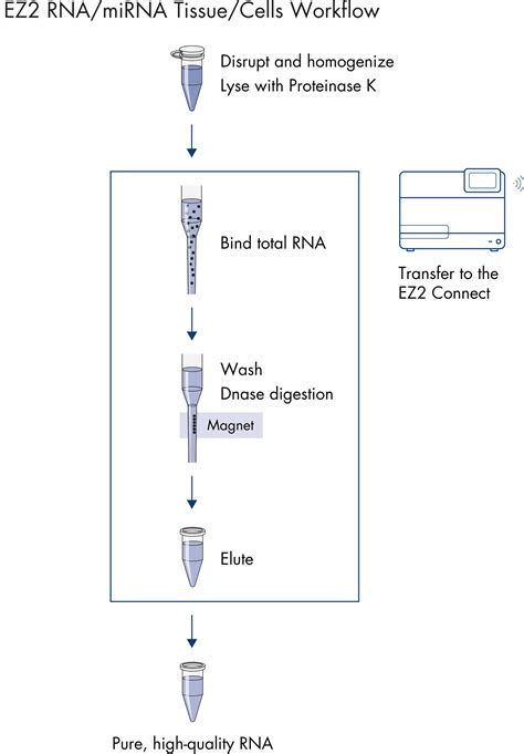 Ez2 Rna Mirna Tissue Cells Kit Rna Purification Qiagen