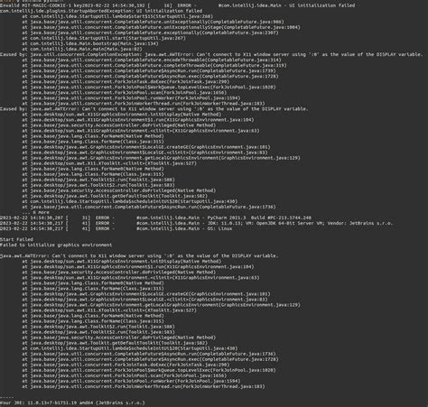 Linux Java Cant Connect To X11 Window Server Using Localhost100 As The Value Of The