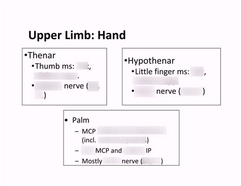 Diagram Of Mss Week 13 Hand Overview Quizlet