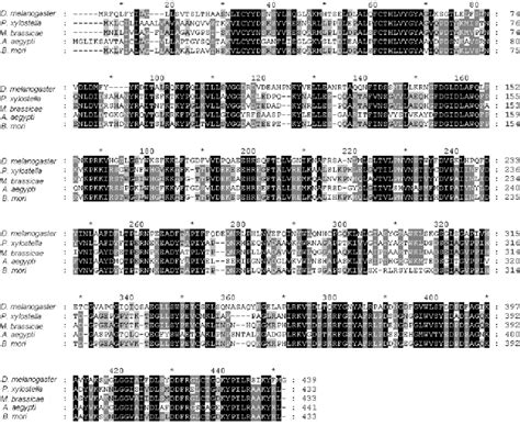 sequence alignment of b mori idgf protein and group v chitinases the