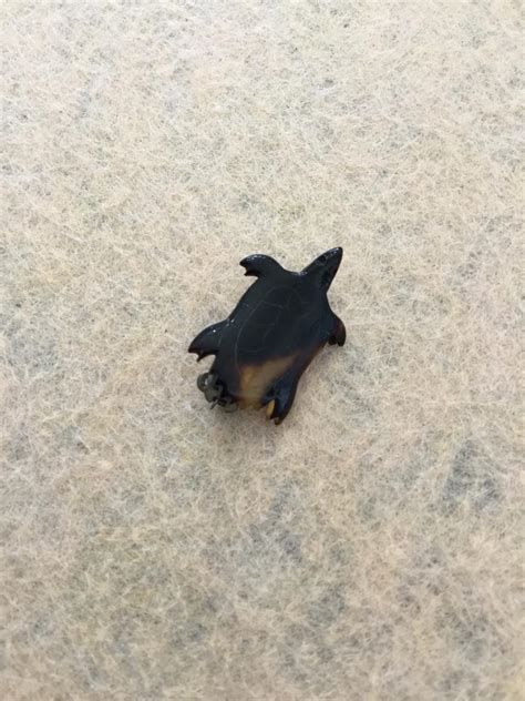 Vintage Tortoise Shell Turtle Brooch Vintage Tortoise Shell Turtle Brooch