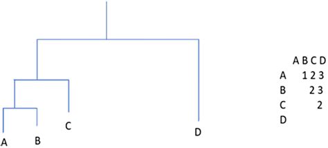 example phylogenetic tree with a chart showing nodal distances among
