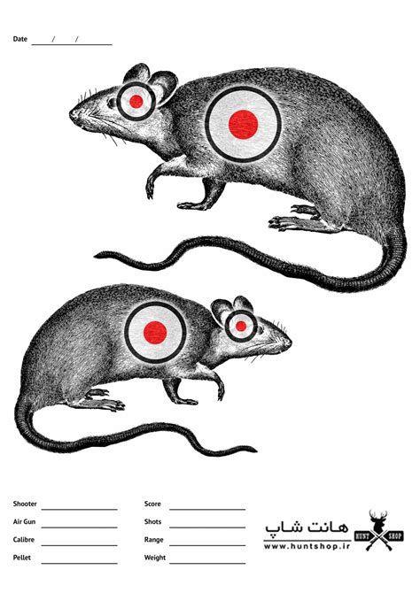 سیبل تفنگ بادی قابل چاپ A4 هانت شاپ