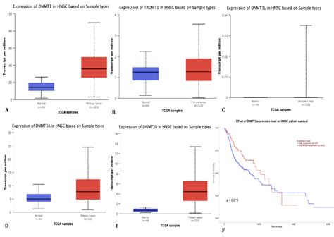 The Box Whisker Plot And Kaplan Meier Survival Analysis Demonstrating