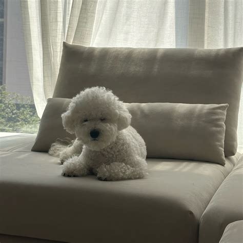 The Mega Spring Youtube