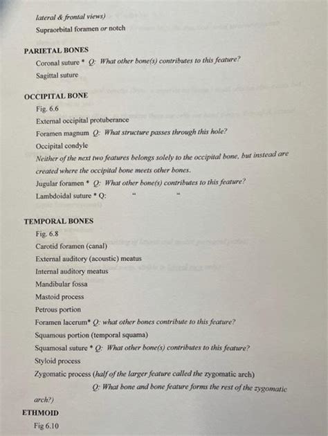 Solved Lab Activities AXIAL SKELETON APPENDICULAR Chegg