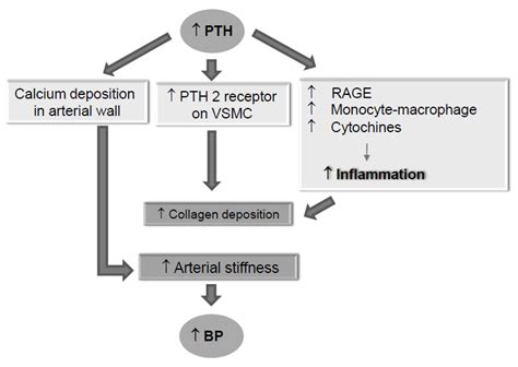 Secondary Hyperparathyroidism