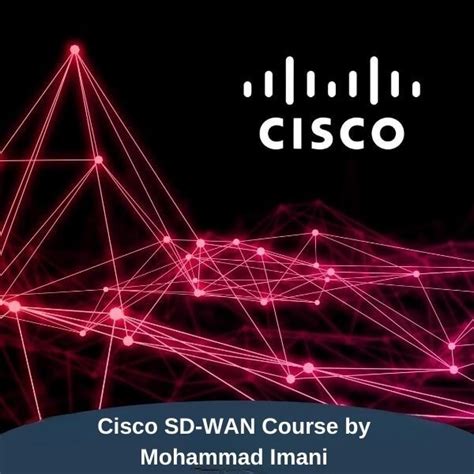 Cisco Sd Wan Viptela Course By Mohammad Imani Orhan Ergun