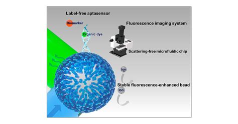 Fluorescence Enhanced Microfluidic Biosensor Platform Based On Magnetic