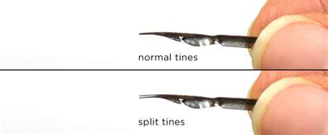 How To Know When A Calligraphy Nib Is Done The Postmans Knock