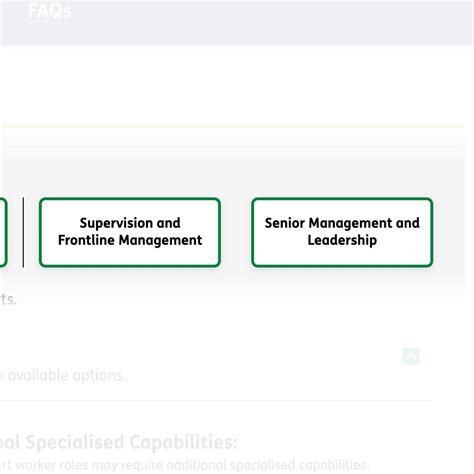 Framework Ndis Workforce Capability