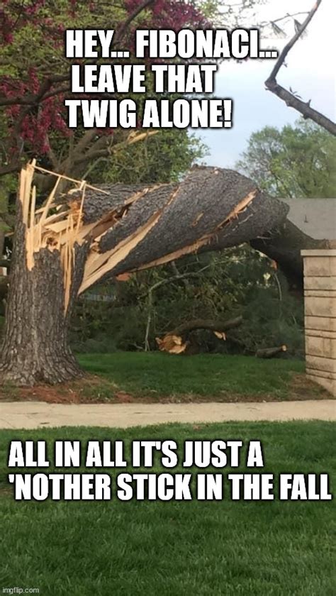 Fibonacci Memes And S Imgflip