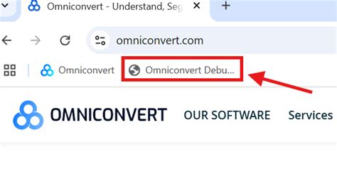 Debugging Experiments Omniconvert Knowledgebase