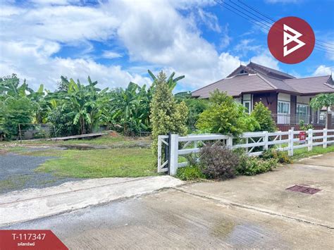 ขายที่ดิน เนื้อที่ 1 งาน 16 3 ตร วา ดอยสะเก็ด เชียงใหม่ ที่ดินร้อยแปด คอม