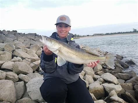 Roofmeister Inside Actuele Roofvis Vangsten And De Gouden Wissel Roofmeister