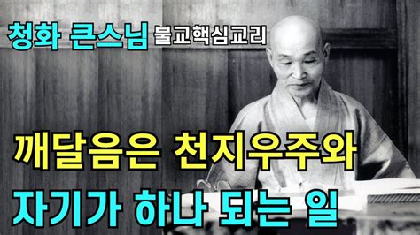 마음과 부처 깨달음은 무엇인가 깨달음은 천지우주와 자기가 하나 되는 일 청화스님 법문 불교핵심교리 설법 서문 Youtube