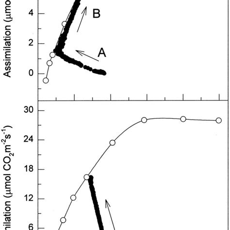 Relationship Between Photosynthetic Rate And Intercellular Co 2