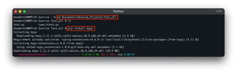 Типизация и аннотации типов данных в Python — Код