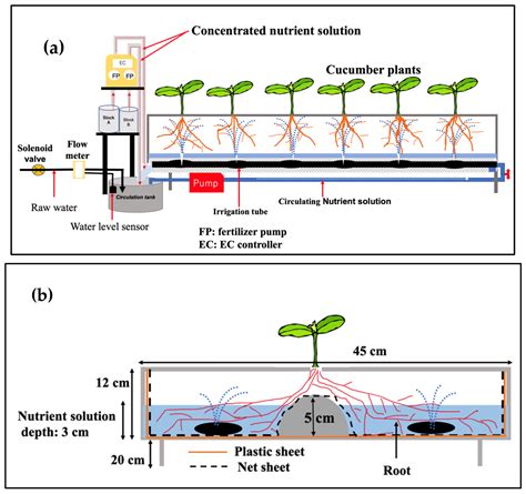 Effective Training Methods For Cucumber Production In Newly Developed Nutrient Film Technique