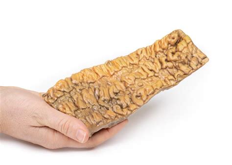 Ulcerative Colitis Australian Physiotherapy Equipment