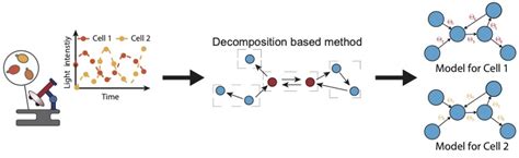 novel computational approach to identify intracellular reaction