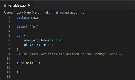 Variable Basics Go Geektechstuff