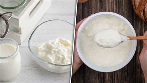 Curd Vs Yogurt 6 Key Differences Between These Dairy Delicacies
