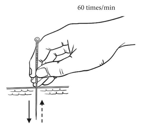 Parameters Of The Four Different Ma Manipulations A Reinforcing By
