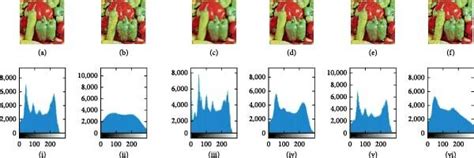a natural image b gaussian noised image c motion noised image