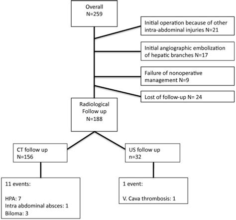 Hepatic Pseudoaneurysm After Traumatic Liver Injury Is Ct Follow Up