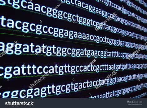 Dna Sequencing Explanation Genome Nucleotide Sequence Stok Fotoğrafı