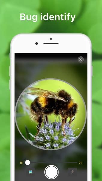 Insect Identification Bug Bite For Iphone Download