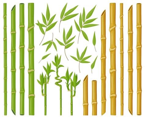 Premium Vector Cartoon Bamboo Plants Isolated On White
