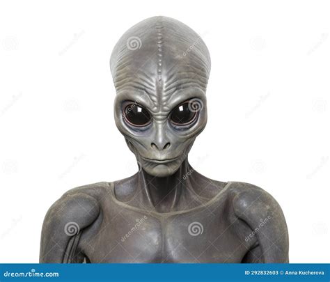 Headshot Of An Extraterrestrial Humanoid With Grey Skin Isolated On