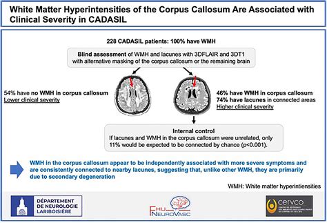 White Matter Hyperintensities Of The Corpus Callosum Are Associated With Clinical Severity In