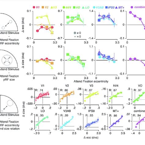 Effect Of Spatial Attention On Prf Eccentricity And Size Difference