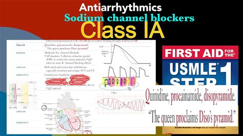Class 1a Antiarrhythmic Drugs Quinidine Procainamide Disopyramide In Hindiurdu By First Aid