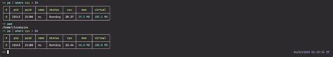 How To Install And Use Nu Shell On Linux CloudSpinx