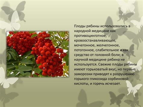 Северные ягоды - online presentation