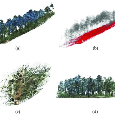 Normalization Of Point Cloud Height A Original Point Cloud Data