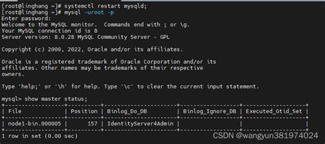 Centos7部署mysql主从复制两台centos7虚拟机中搭建mysql主从 Csdn博客