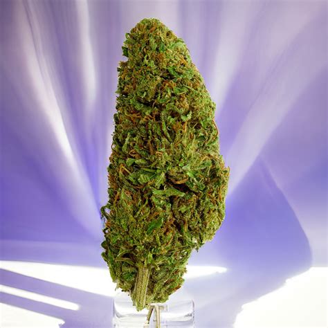 Sour Space Candy Strain Info At Nancy Hutchinson Blog