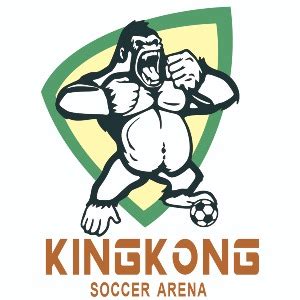 Booking Lapangan Giant Kong Soccer Field Jakarta Timur Gelora