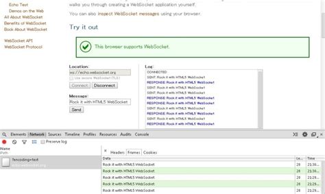 [websocket] [java] websocketを試す dukelab