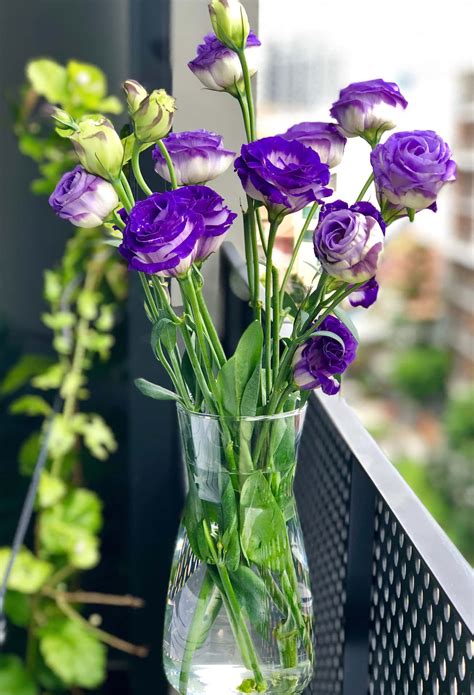 Download Purple Beautiful Flowers Pictures