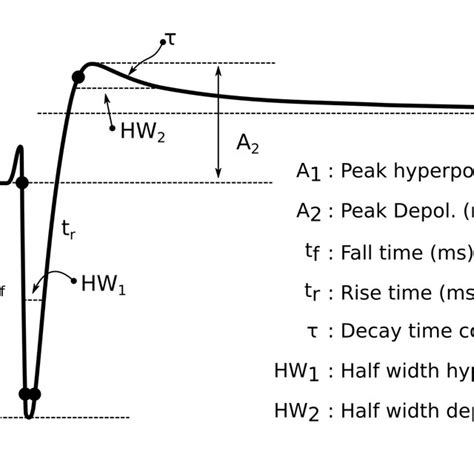 Feature Measurement Of Total Membrane Current For Comparing The